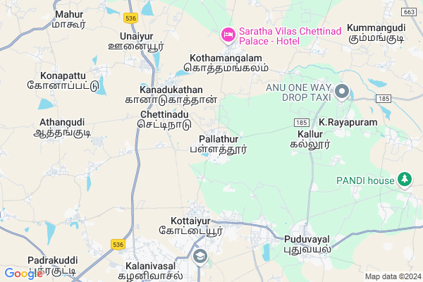 Pallathur Village , Sakkottai Block , Sivaganga District