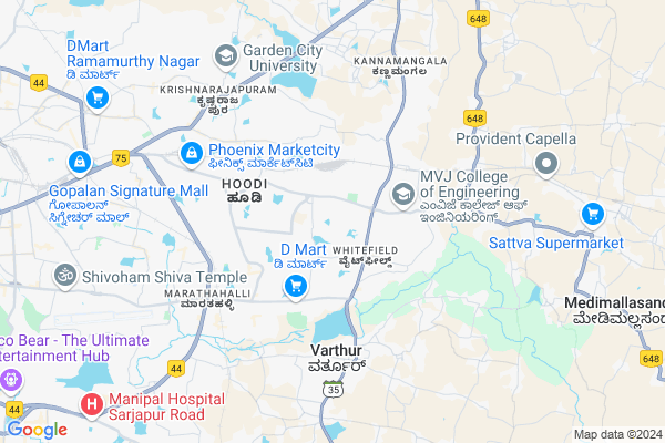 Ecc Road, Prithvi Layout, Whitefield Locality