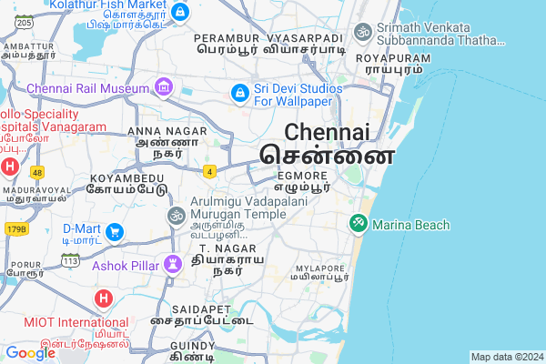 Chitti Babu Street, M.s. Nagar, Mukta Gardens, Chetpet Locality