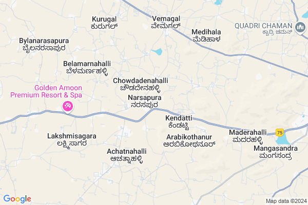 Narasapura Village , Kolar Taluk , Kolar District