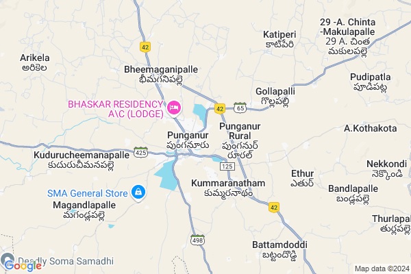 Punganur Town , Punganur Mandal , Chittoor District