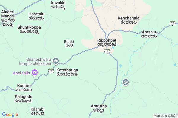 Mallapura Village , Hosanagara Taluk , Shimoga District