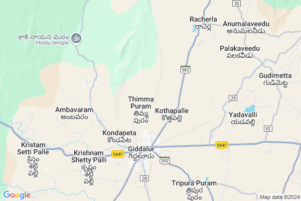 Timmapuram Village , Giddaluru Mandal , Prakasam District