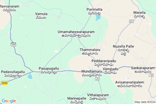 Peda Ravipadu Village