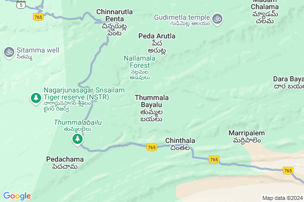 Thummala Bayalu Village