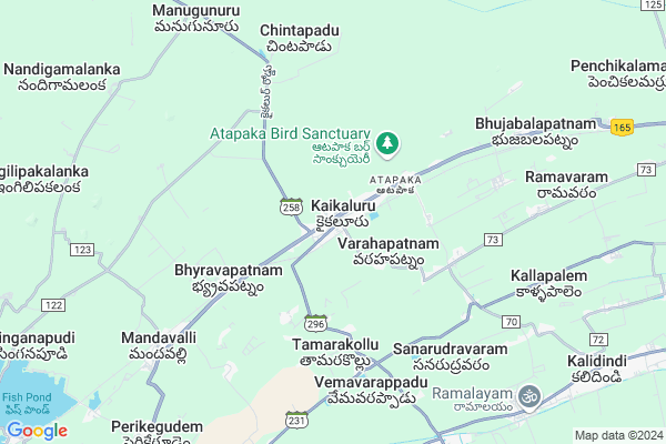 Kaikaluru Town