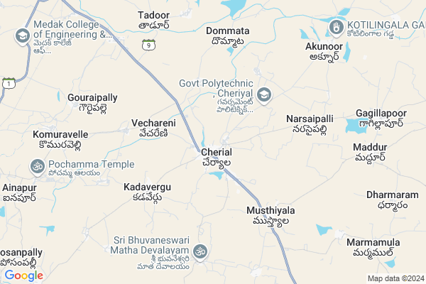 Cheriyal Town , Cheriyal Mandal , Warangal District