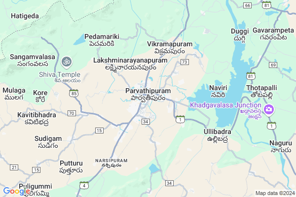 Parvathipuram Town , Parvathipuram Mandal , Vizianagaram District