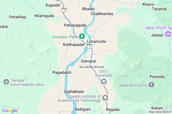 Gunupur Town , Gunupur Tehsil , Rayagada District