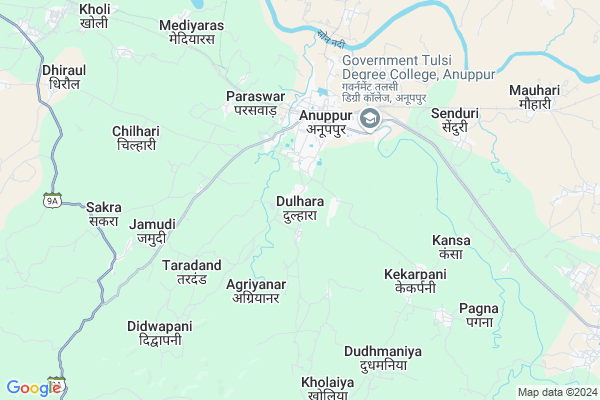 Dulhara Village , Jaithari Tehsil , Anuppur District