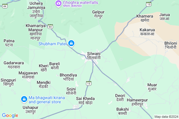 Silwani Town , Silwani Tehsil , Raisen District