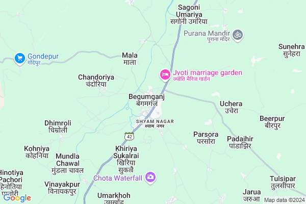 Begamganj Town , Begamganj Tehsil , Raisen District