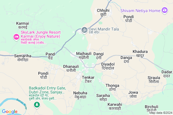 Majhauli Town , Majhauli Tehsil , Sidhi District