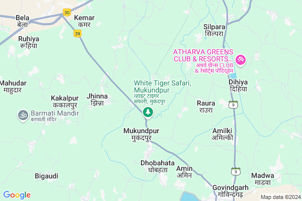 Tamara Village , Rewa Tehsil , Rewa District