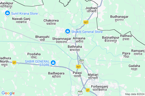 Bathnaha Village , Forbesganj Block , Araria District
