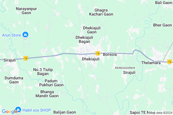 Missamari Village , Dhekiajuli Tehsil , Sonitpur District