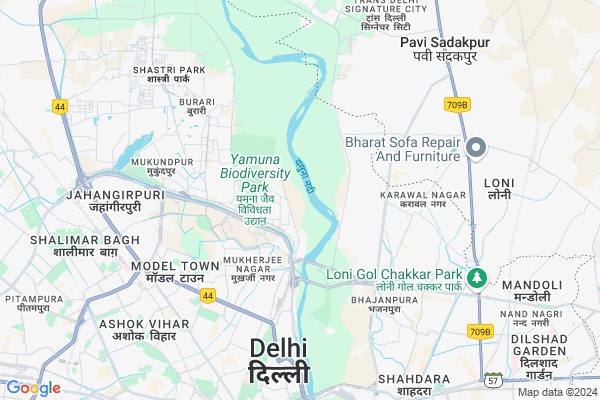 Wazirabad Village, Wazirabad Locality