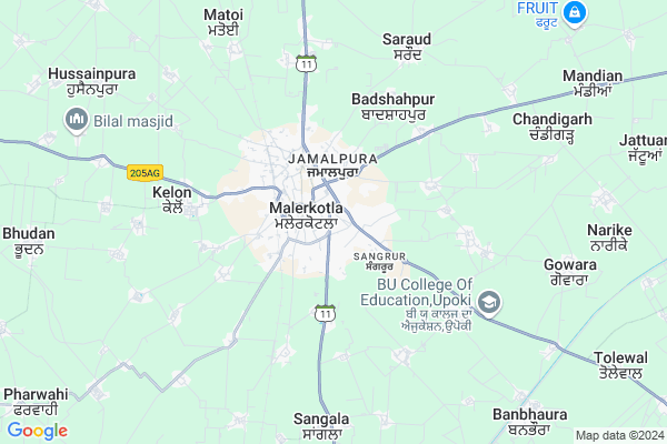 Malerkotla Town