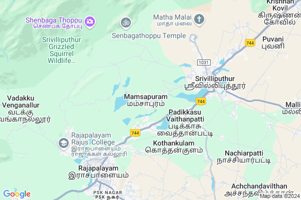 Mamsapuram Village , Srivilliputtur Block , Virudhunagar District